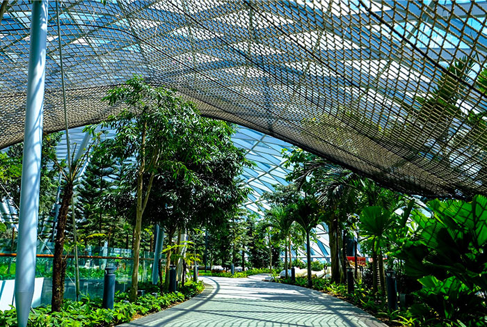 Walking Net - Jewel Changi Airport