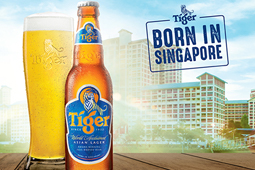 Experience Wonder at Jewel Changi Airport